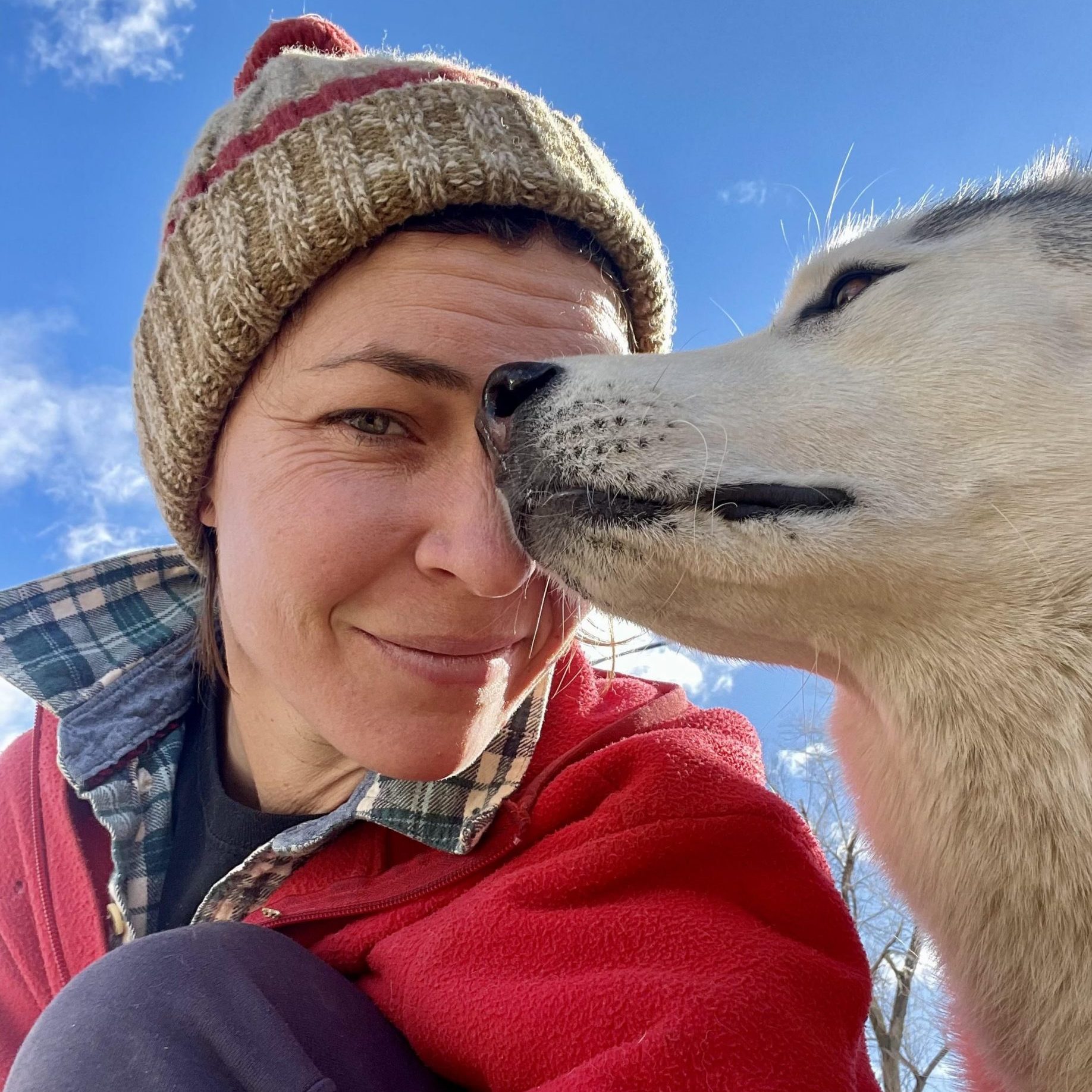 The Family – Fat Pig Society